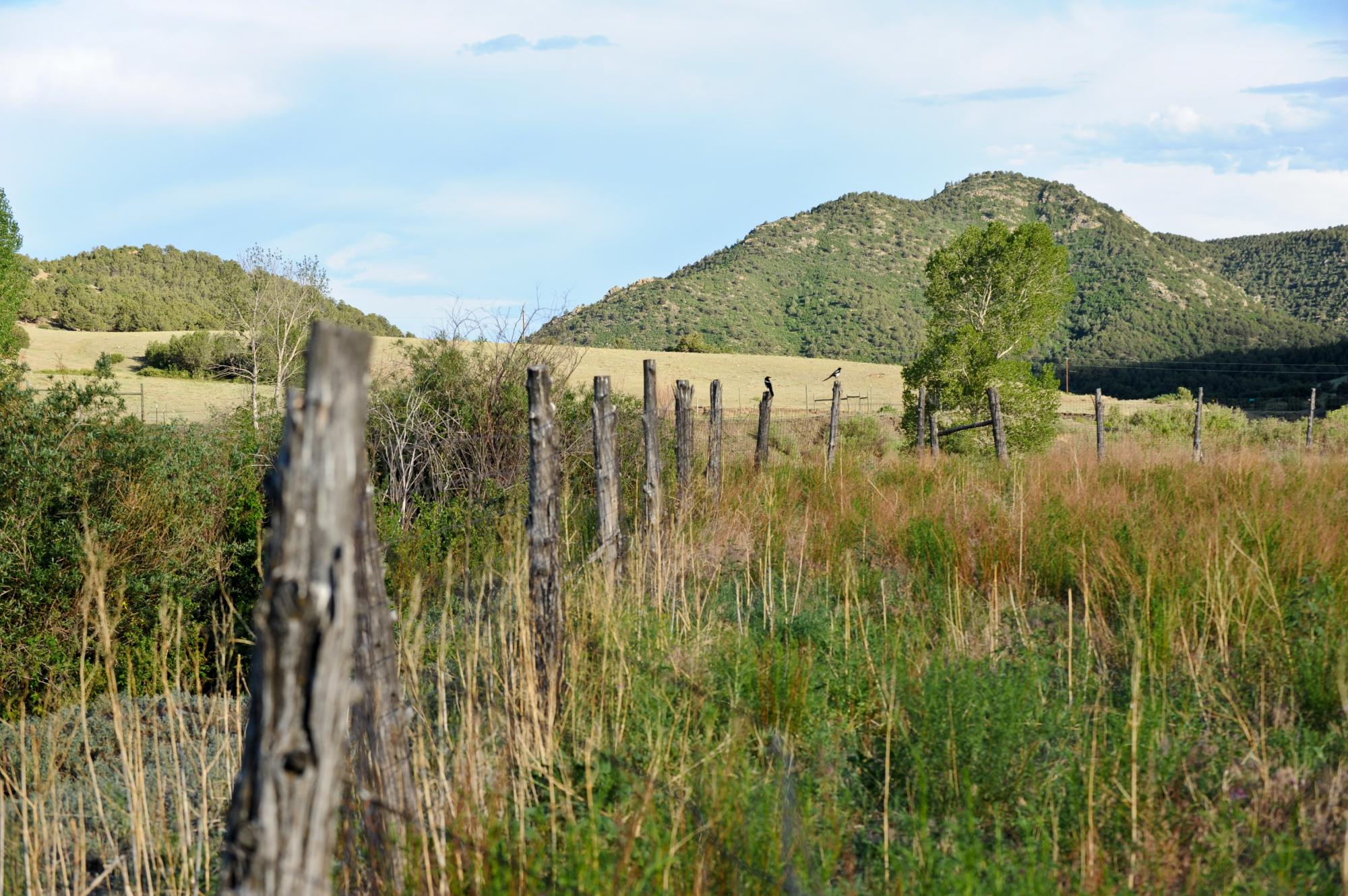 Significant Statewide Conservation Milestone Reached | Palmer Land ...