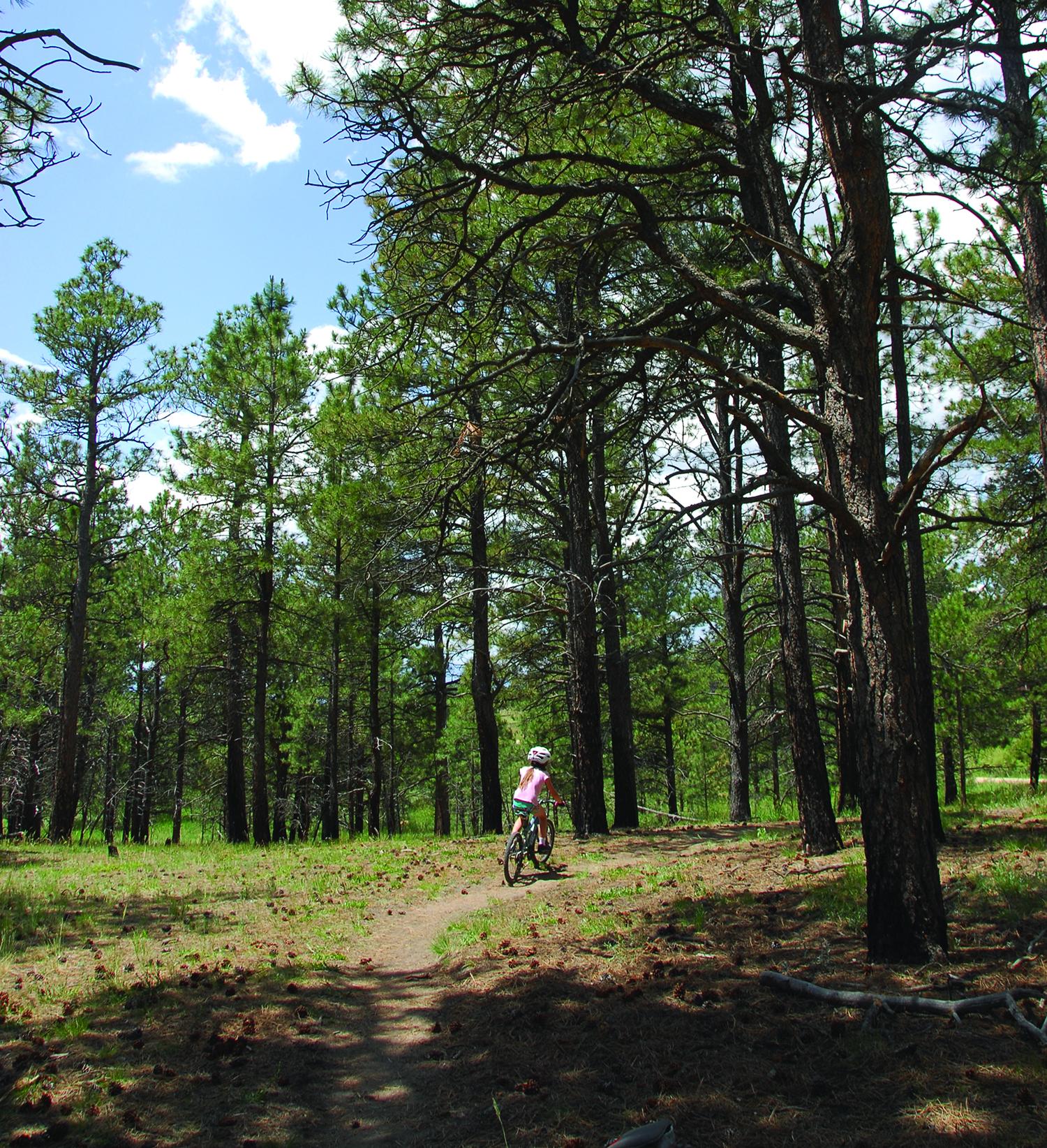 The best places to hike, bike, and stroll this holiday season | Palmer ...